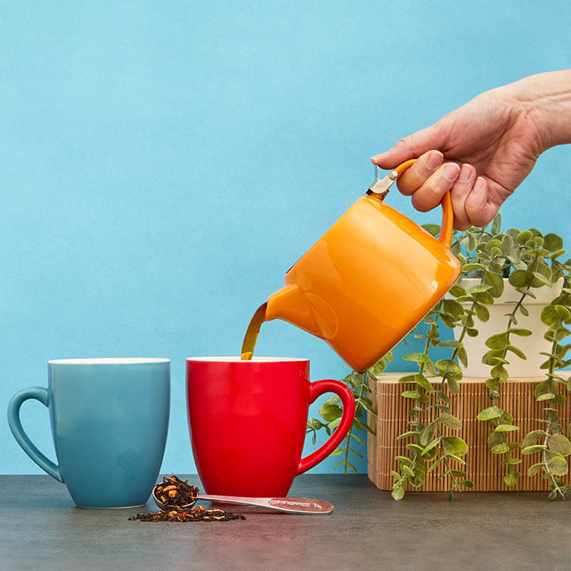 Loose Leaf Tea Blends | Bird & Blend Tea Co.